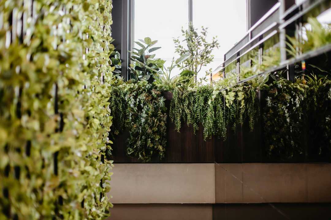 about locations contact events pizza degustation news wholesale ...